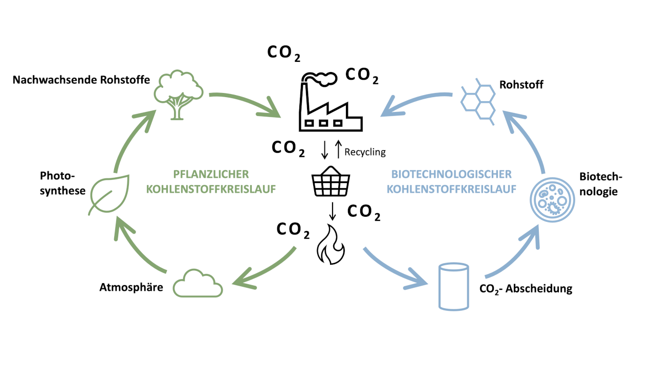 Biotechnologisches CO2-Recycling | Bioökonomie.de